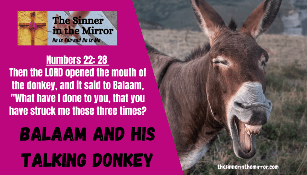 Numbers 22 - 24 and The Amazing Talking Donkey - The Sinner In The Mirror