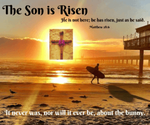 The Sinner In The Mirror Home Page - The Sinner In The Mirror