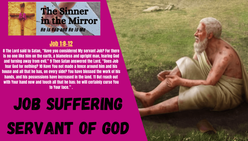Job the Suffering Servant of God - The Sinner In The Mirror