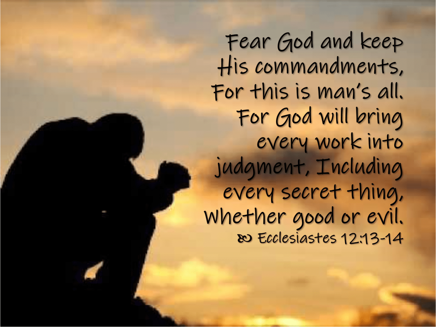 Leviticus - Sin Sacrifice Priests and Blood - The Sinner In The Mirror